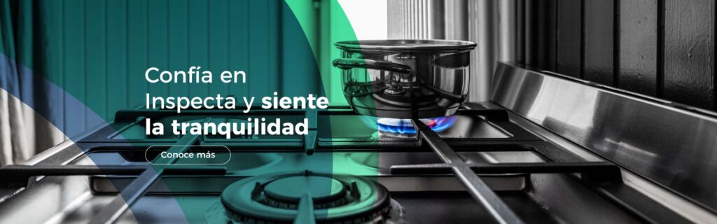 Inicio - Inspecta Inspecciones periodicas de gas